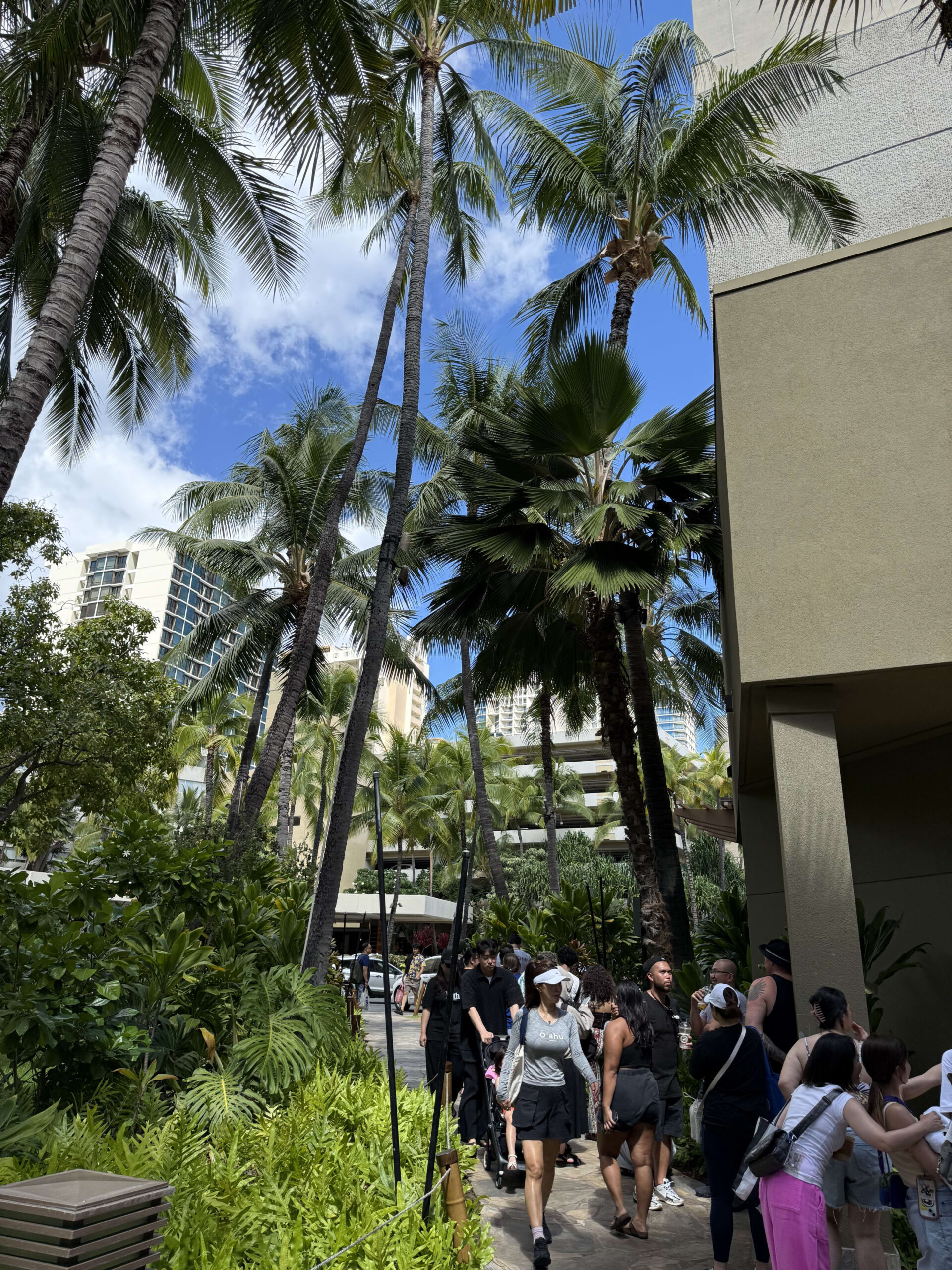Stussy Hawaii: A Guide to the Line & Scoring Exclusives