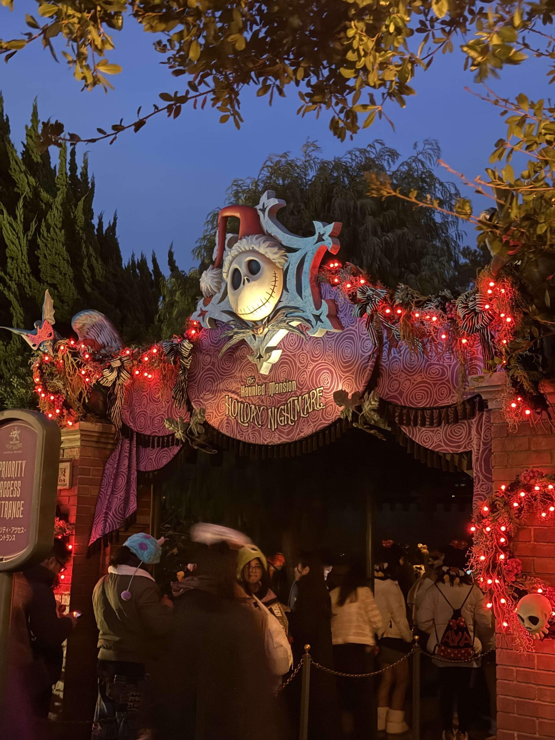 Haunted Mansion Holiday Nightmare 2025 start date アーカイブ - Photomo ...